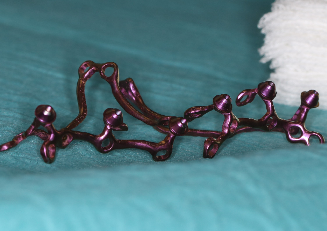 Nasz zespół - Integra Implants